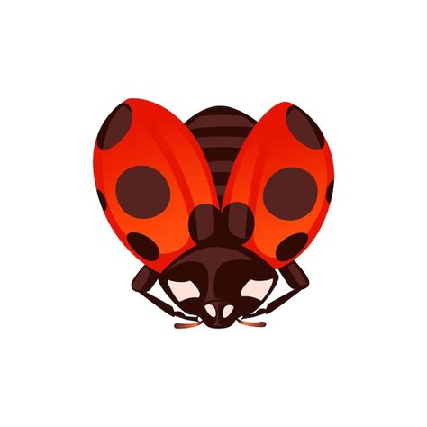 Premium Vector Ladybug With Open Shell And Wings Flying Beetle Cartoon Bug Design Flat Vector