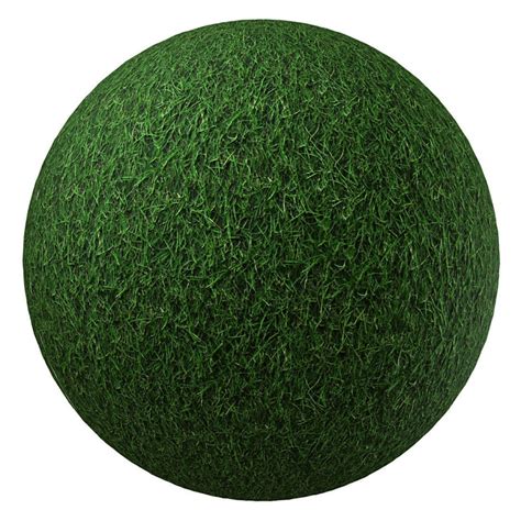 Green Grass Texture D Model For
