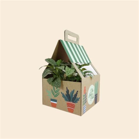 Plant Packaging Boxes Best4u