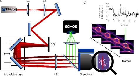 Figure 1 From 3d Super Resolution Optical Fluctuation Imaging With Temporal Focusing Two Photon