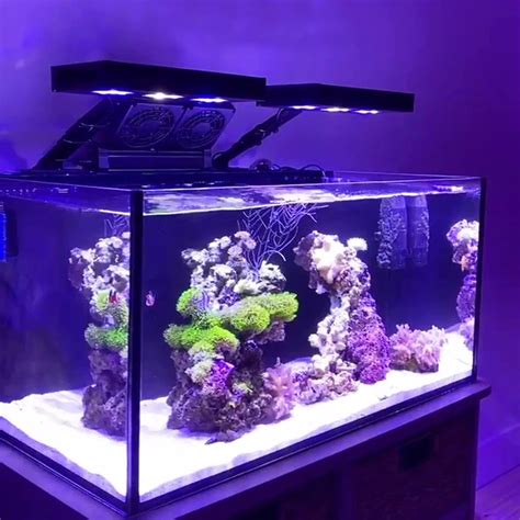 Originele Spectra Aquarium Licht 30w Zoutwater Verlichting Met Dimbaar