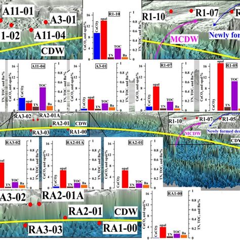 Spatial Distribution Of The Productivity And Nutrient Related Proxy