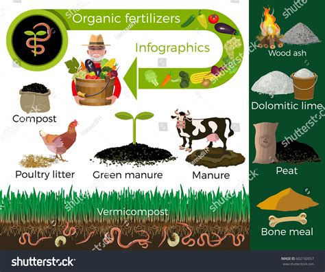 Organic Fertilizers Vector Infographics Stock Vector Royalty Free