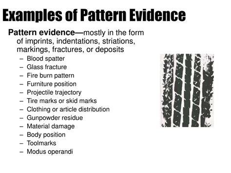 Ppt Understanding Testimonial And Physical Evidence In Investigations