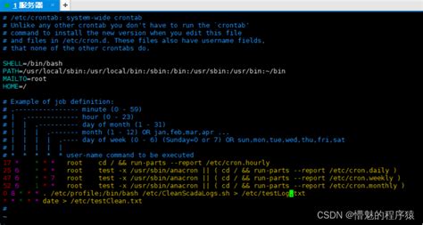 Linux定时任务shell脚本删除docker容器内scada冗余日志功能实现docker Scada Csdn博客