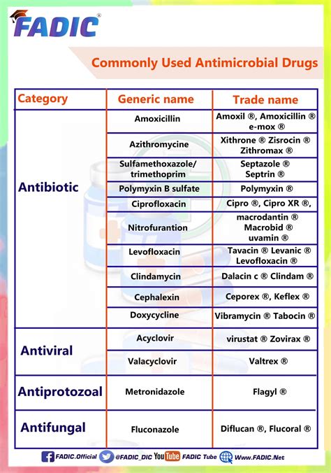 Antifungal Medicines Anatomy System Human Body Anatomy Diagram And