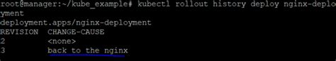 kubernetes 컨트롤러 Replicaset Deployment DaemonSet