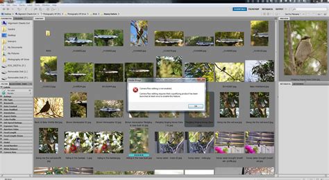 Cs6 E Bridge Slow To Load Thumbnails Building Cr Page 5 Adobe Support Community 4278663