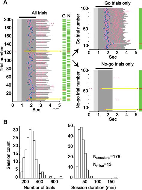 Vibrissa Based Object Localization In Head Fixed Mice Journal Of Neuroscience
