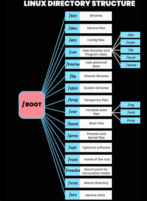 The Linux File System Isnt Just A Bunch Of Folders Its The