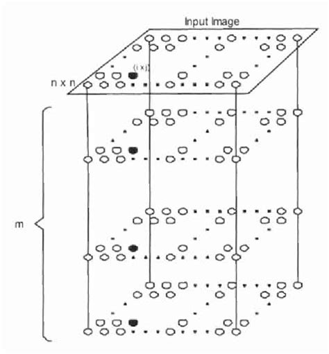 figure 1 from color cell image segmentation using pyramidal constraint