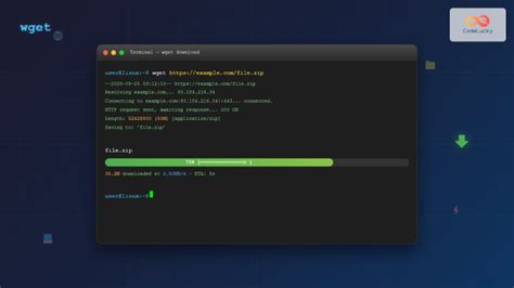 Ftp Command Linux Complete Guide To File Transfer Protocol Client