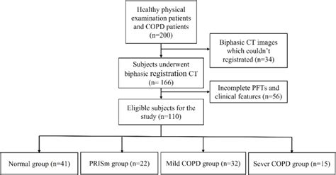 Flowchart Of Participant Selection Abbreviations Copd Chronic Download Scientific Diagram