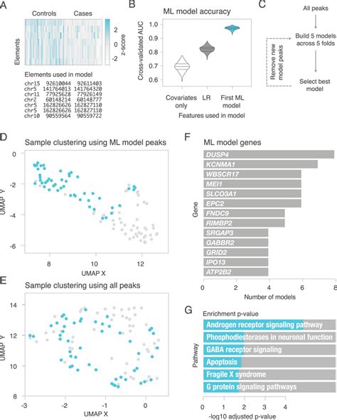 Machine Learning Reveals Models And Key Features That Distinguish Download Scientific Diagram