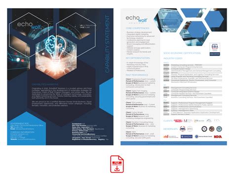 Capability Statement Echowolf Solutions