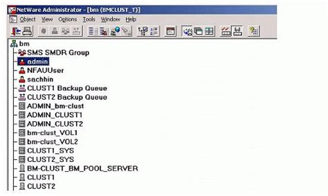 Running Novell Bordermanager On Novell Cluster Services