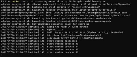 Provision Nginx On Docker And Increase Server Capabilities