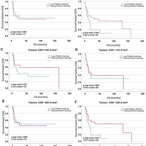Immune Cell Marker Expression In Squamous Differentiated Bladder Cancer