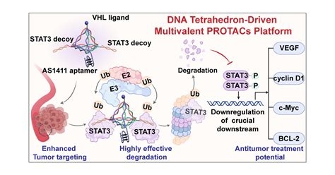 Dna Tetrahedron Driven Multivalent Proteolysis Targeting Chimeras Enhancing Protein Degradation