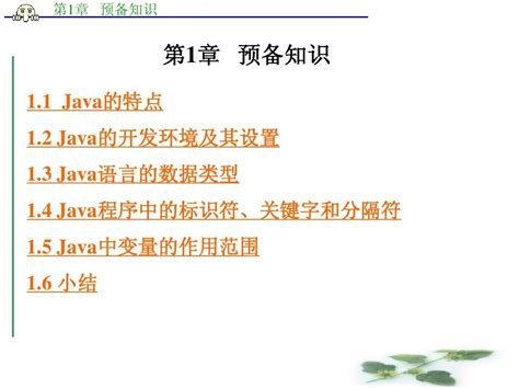 第1章 java的基本概念 word文档在线阅读与下载 无忧文档