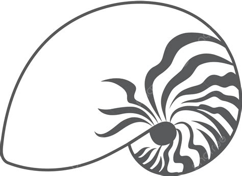 Bw Icons Nautilus Sign Surface Nautilus Vector Sign Surface Nautilus Png And Vector With