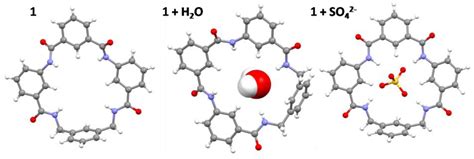 A Synthetic Tetra‐amide Macrocycle For Anion Recognition At Molecular Level Singh 2024