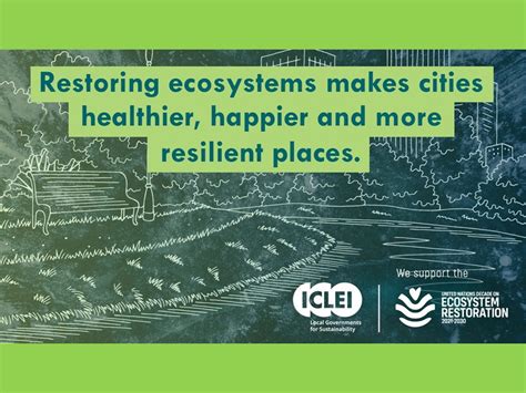 Launch Of The Un Decade On Ecosystem Restoration