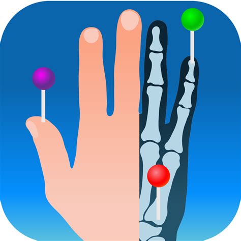 First Steps With E Anatomy Imaios Help Center