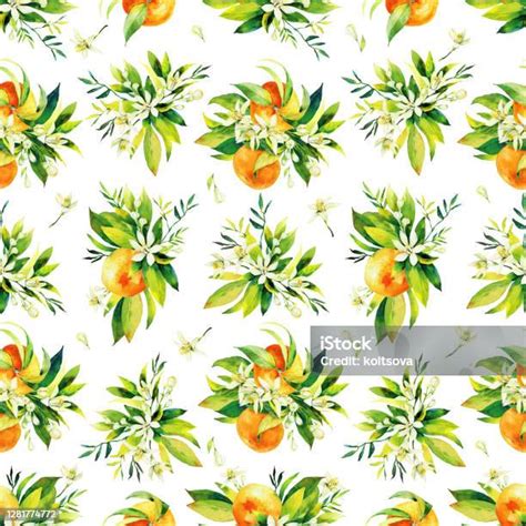 원활한 수채화 감귤류 과일과 잎 패턴 흰색 배경에 녹색 잎과 오렌지 과일 원활한 만다린과 오렌지 수채화 일러스트레이션 오렌지 감귤류 과일에 대한 스톡 벡터 아트 및 기타