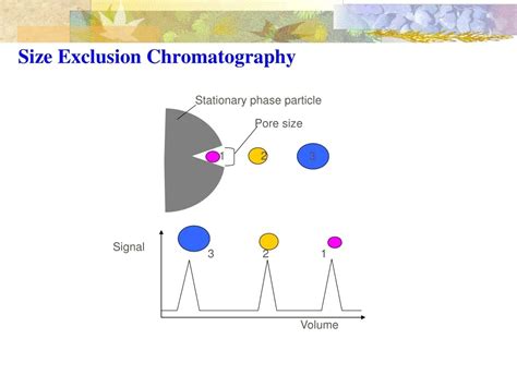 Chromatography Data Analysis Ppt At Lisa Cunningham Blog