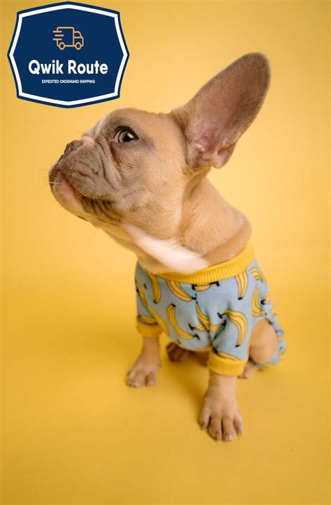 Qwik Route On Linkedin Business Shipping Delivery