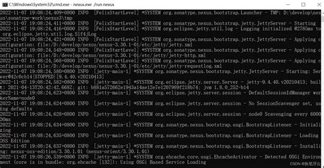 Nexus入门学习使用总结 nexus启动 CSDN博客