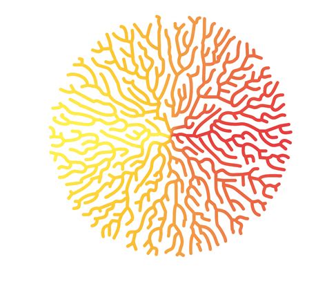 Radial Gradient Issue Adobe Community 14248075