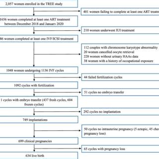 Participants Selection Flowchart In The TREE Study Enrolled Between Download Scientific