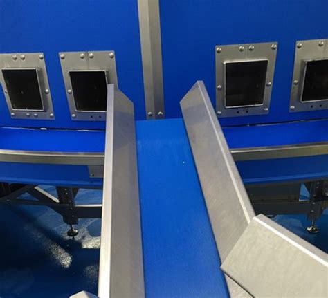 Convoyeur Pour Poulets Innovatec Hatchery Automation à Bande