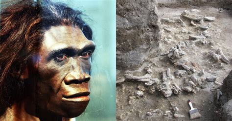 100000 Years Ago Indonesia Was Once Home To This Ancient Human