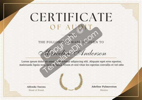 Professional Audit Certificate Template Editable And Printable