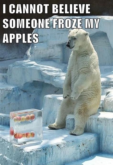 Funny Pictures Vi No S Please Page 5 Literotica Discussion Board