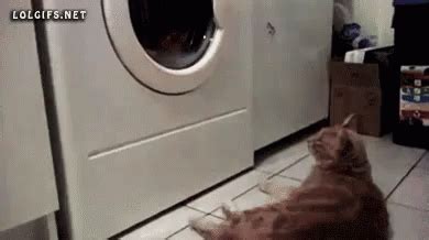 Lavarroupa Lavanderia Faxina  Do Laundry Laundry Cleaning