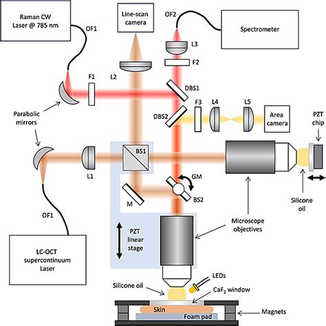 Dual Mode Optical Imaging System Enhances Skin Cancer Diagnosis Gizmomd