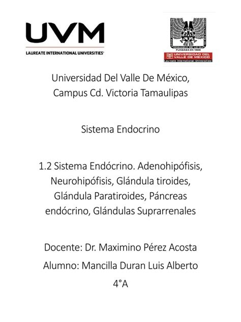 Sistema Endorcino Pdf Glándula Pituitaria Páncreas