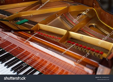 closeup top view internal string structure库存照片2168925457 shutterstock