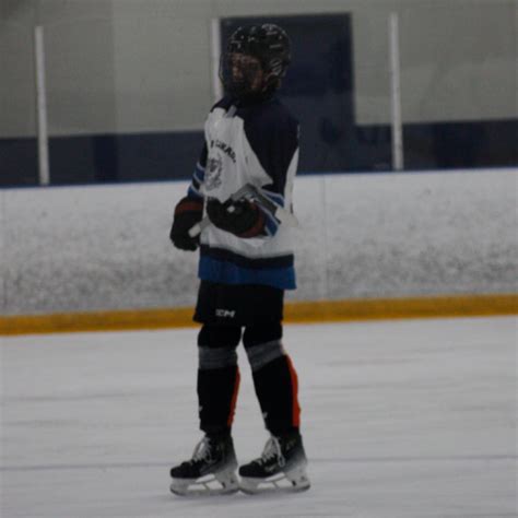 Noah Crombeen Stats Contract Salary And More