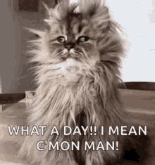 What A Day Meme What A Day Discover And Share S