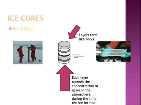 Ppt Evolution In Organisms And Landforms Powerpoint Presentation