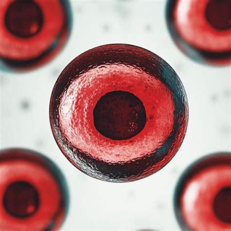 Impact Of Subgingival Scaling On Glycemic Control And T Cell Dynamics In Diabetic Patients With