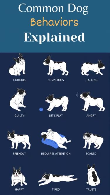 Dog breeds chart – Artofit