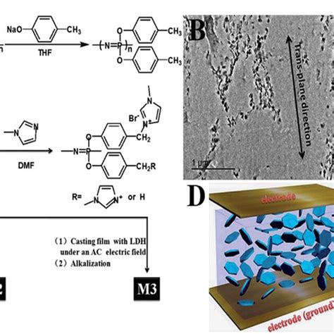 A The Scheme Of Membrane Fabrication B Tem Image Of Membrane With