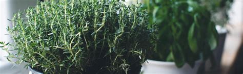 How To Define Ledger Groups In Sap S 4hana Finance