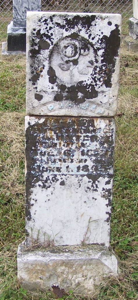 Sarah Jane Grinter 1821 1865 Find A Grave Memorial